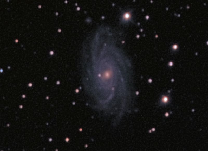 Klostersternwarte - NGC 2336 - ein Belichtungsfragment