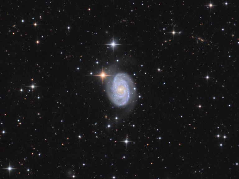 Klostersternwarte - Eine große Galaxie: NGC 5731